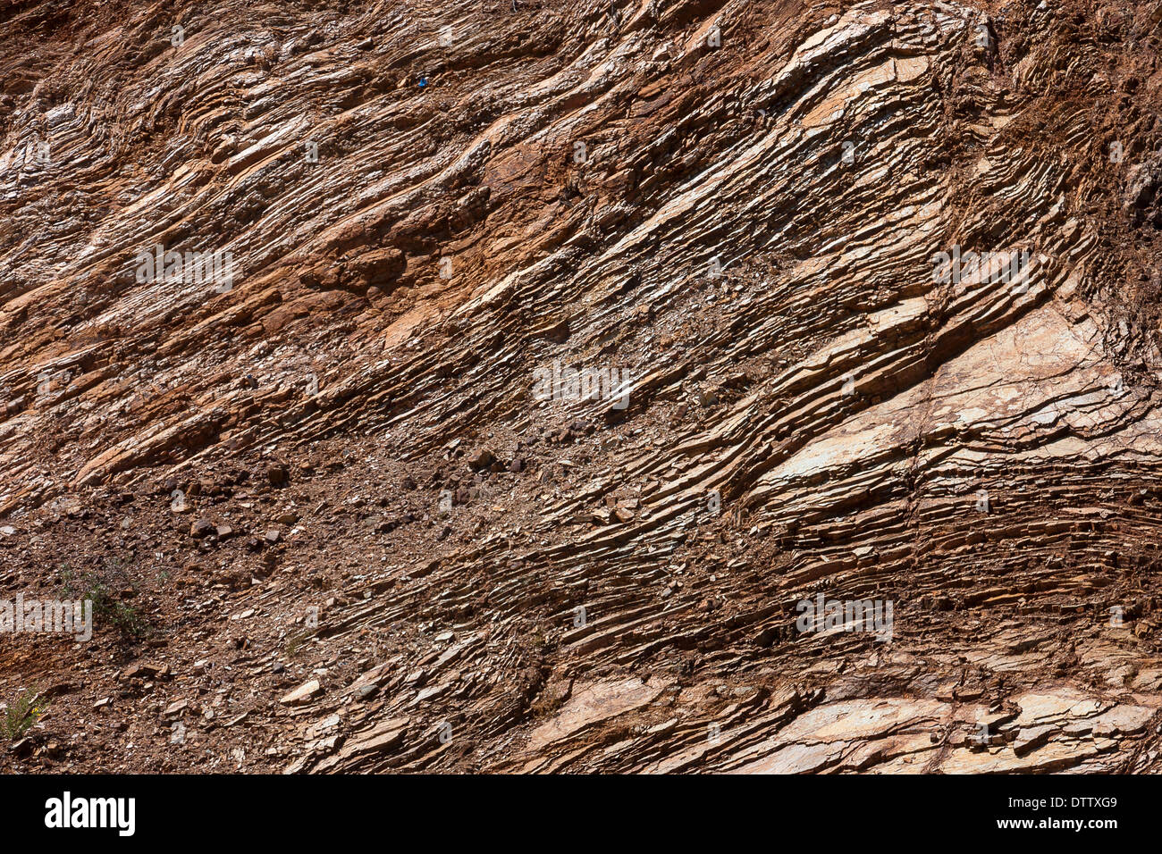Natural texture hi-res stock photography and images - Alamy