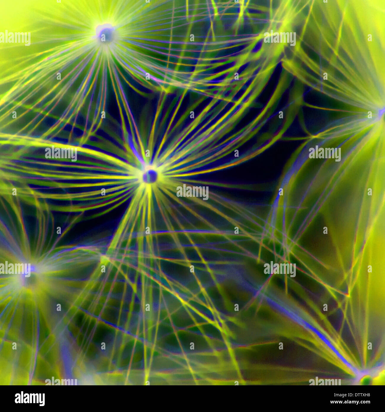 The art of nature hi-res stock photography and images - Alamy