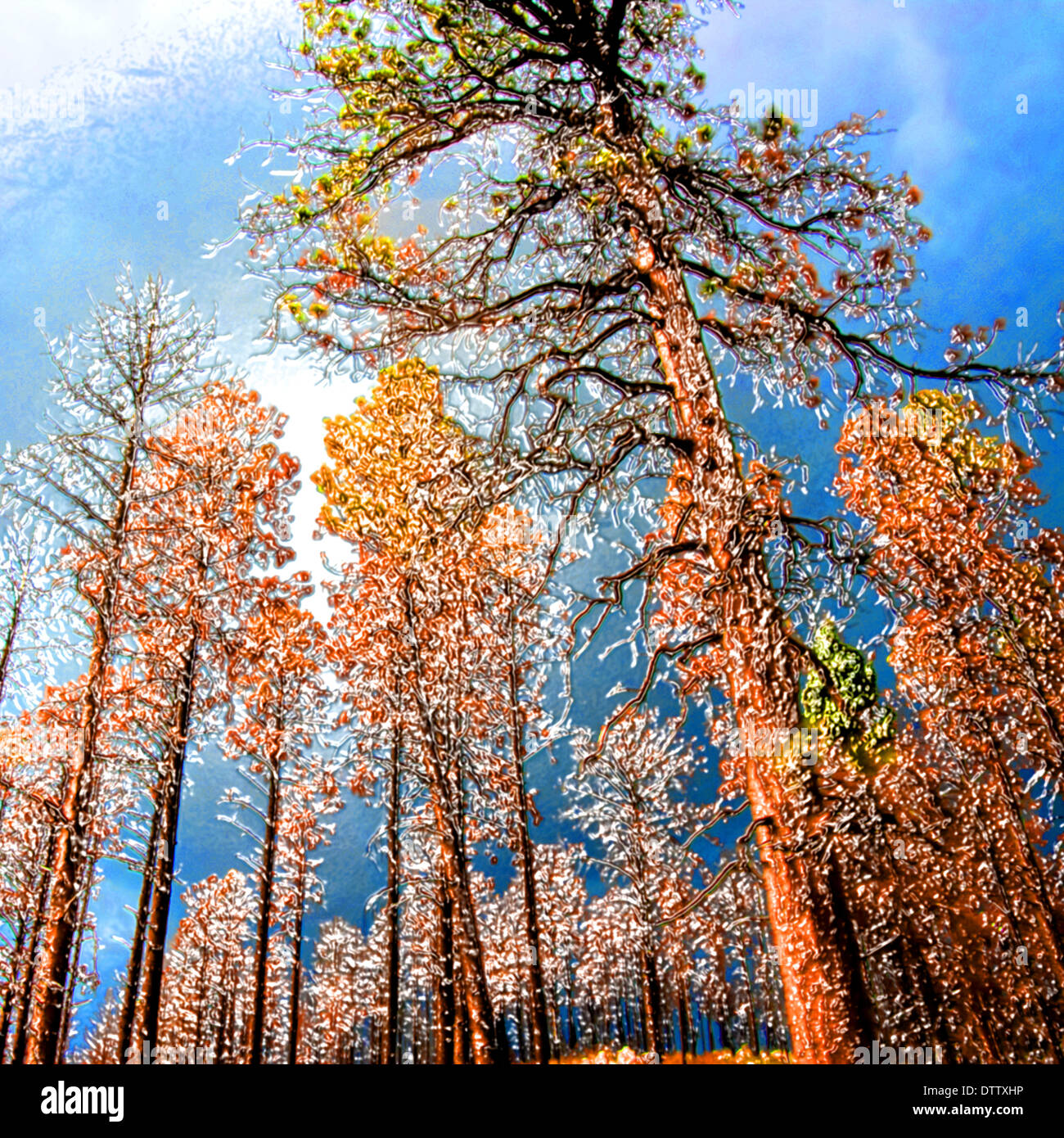 Digital Art of Nature Stock Photo - Alamy