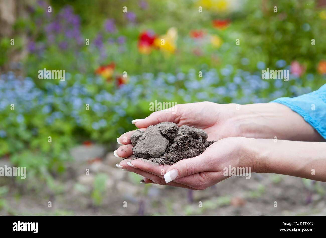 hands with soil Stock Photo - Alamy