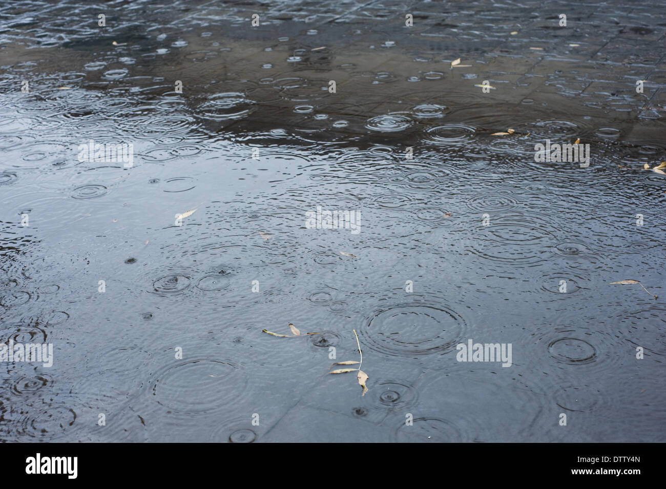 Rain texture hi-res stock photography and images - Alamy