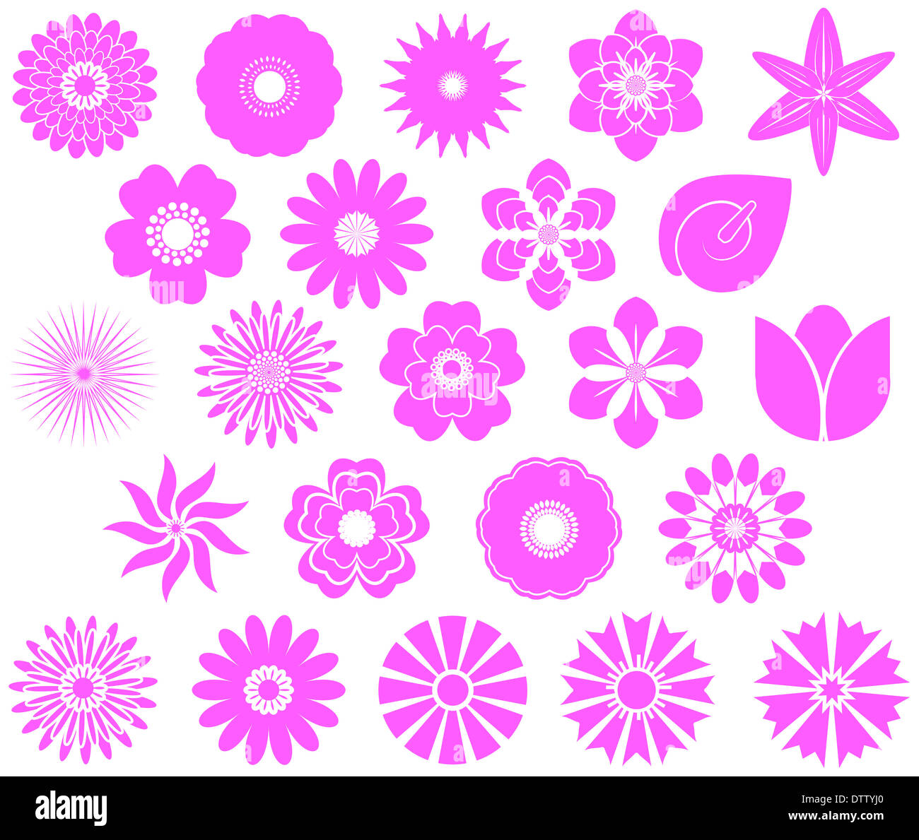 A collection of flowers for the design Stock Photo - Alamy