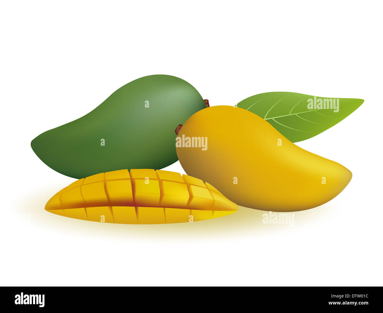 Mango, On White Background, Vector Illustration Stock Photo - Alamy