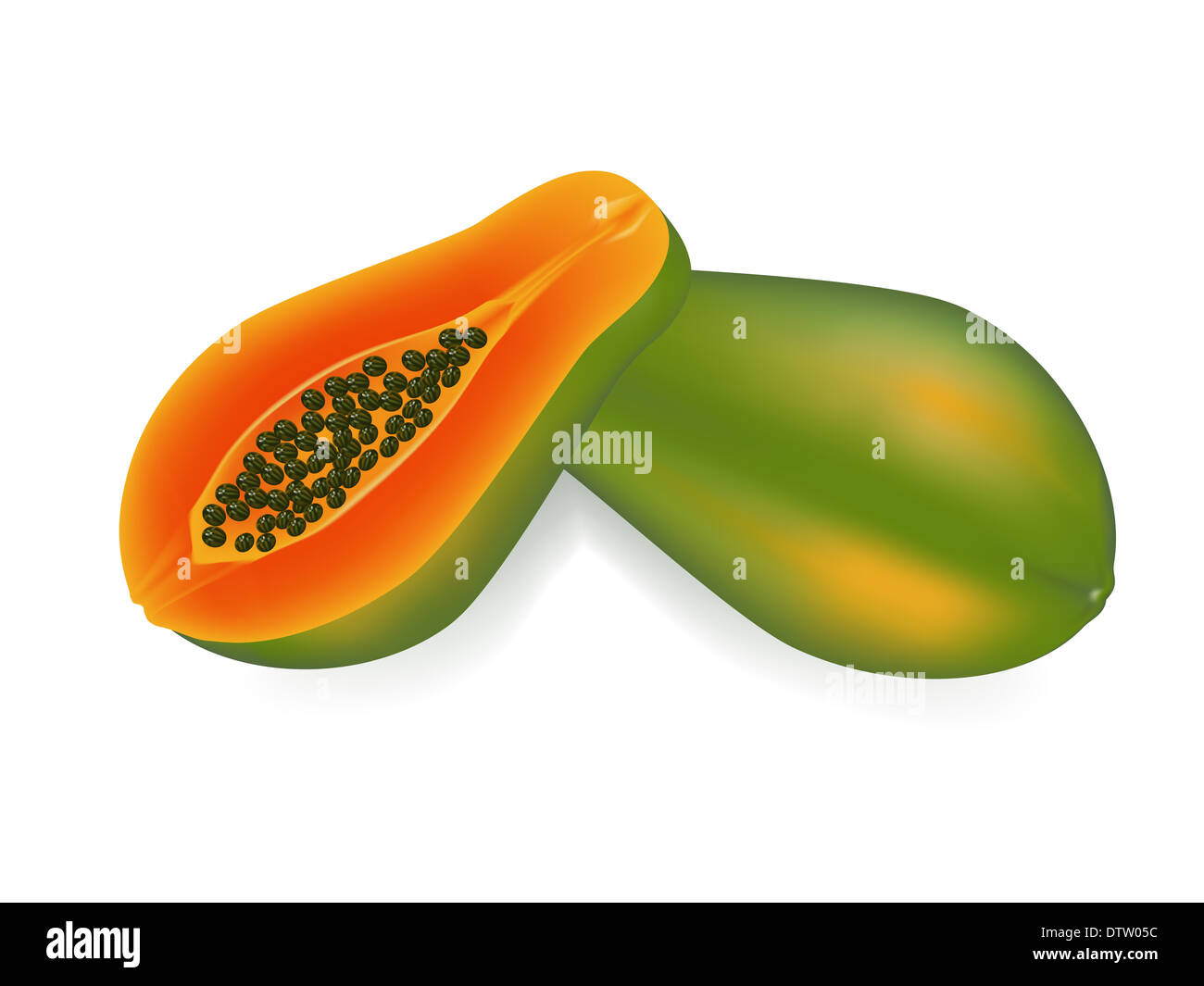 vector illustration . papaya on white background Stock Photo - Alamy