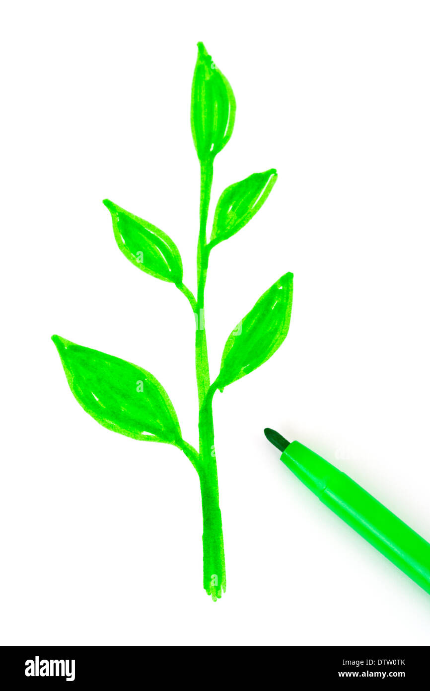 Grass leaf pen Cut Out Stock Images & Pictures - Alamy