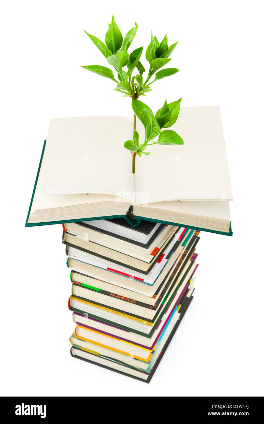 Books and plant Stock Photo - Alamy
