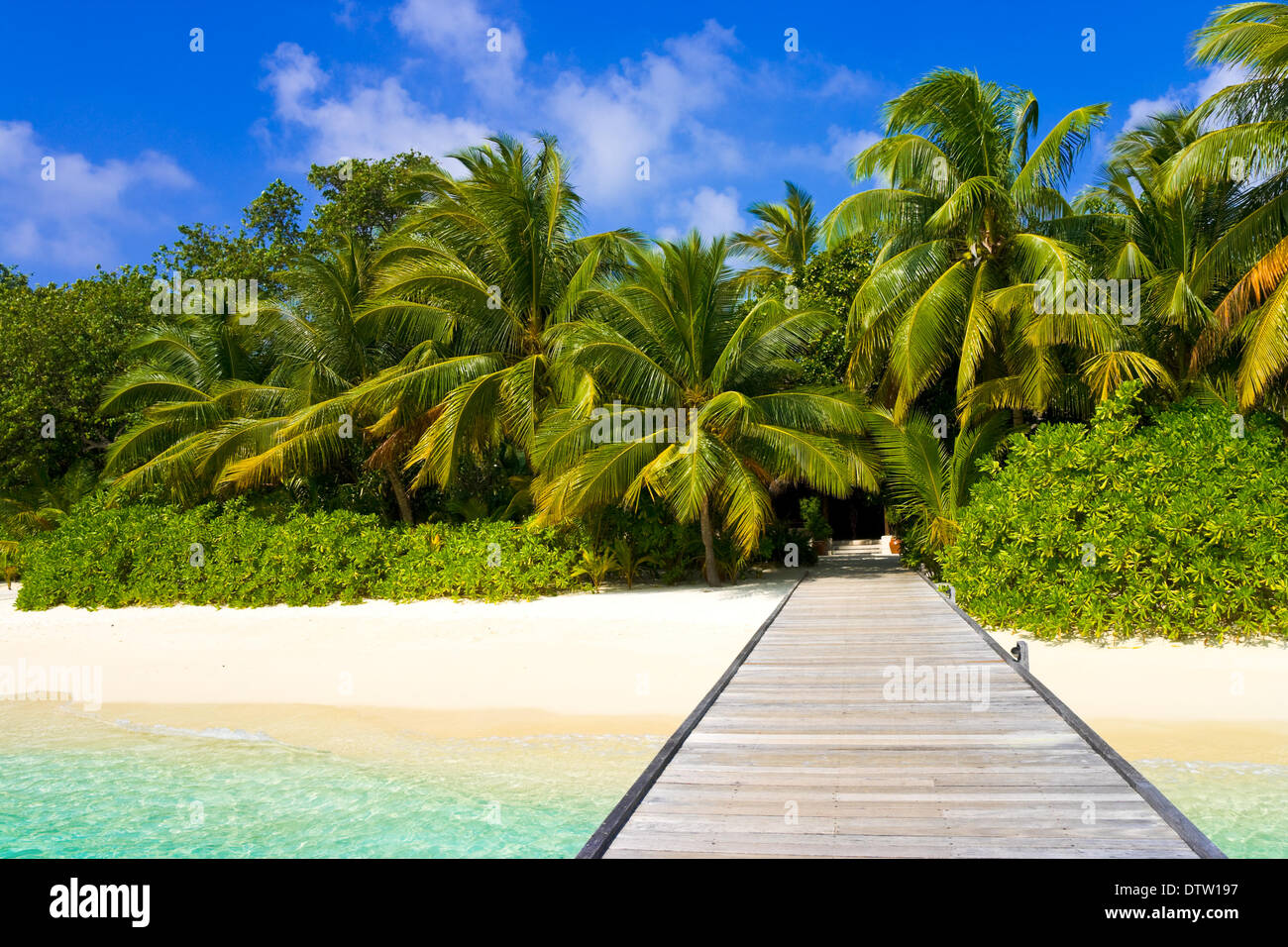 Jetty, beach and jungle Stock Photo - Alamy