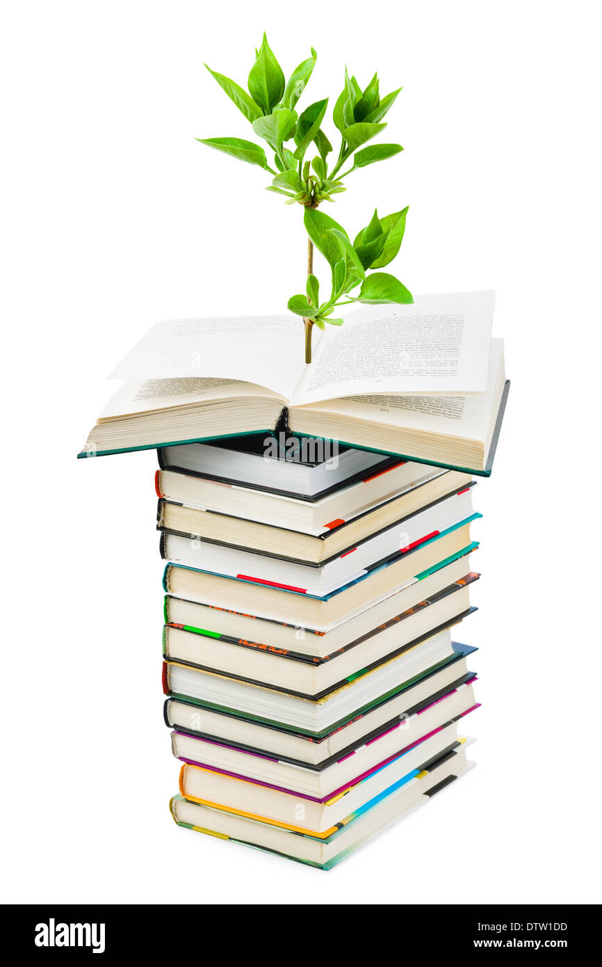 Education concept books growth Cut Out Stock Images & Pictures - Alamy