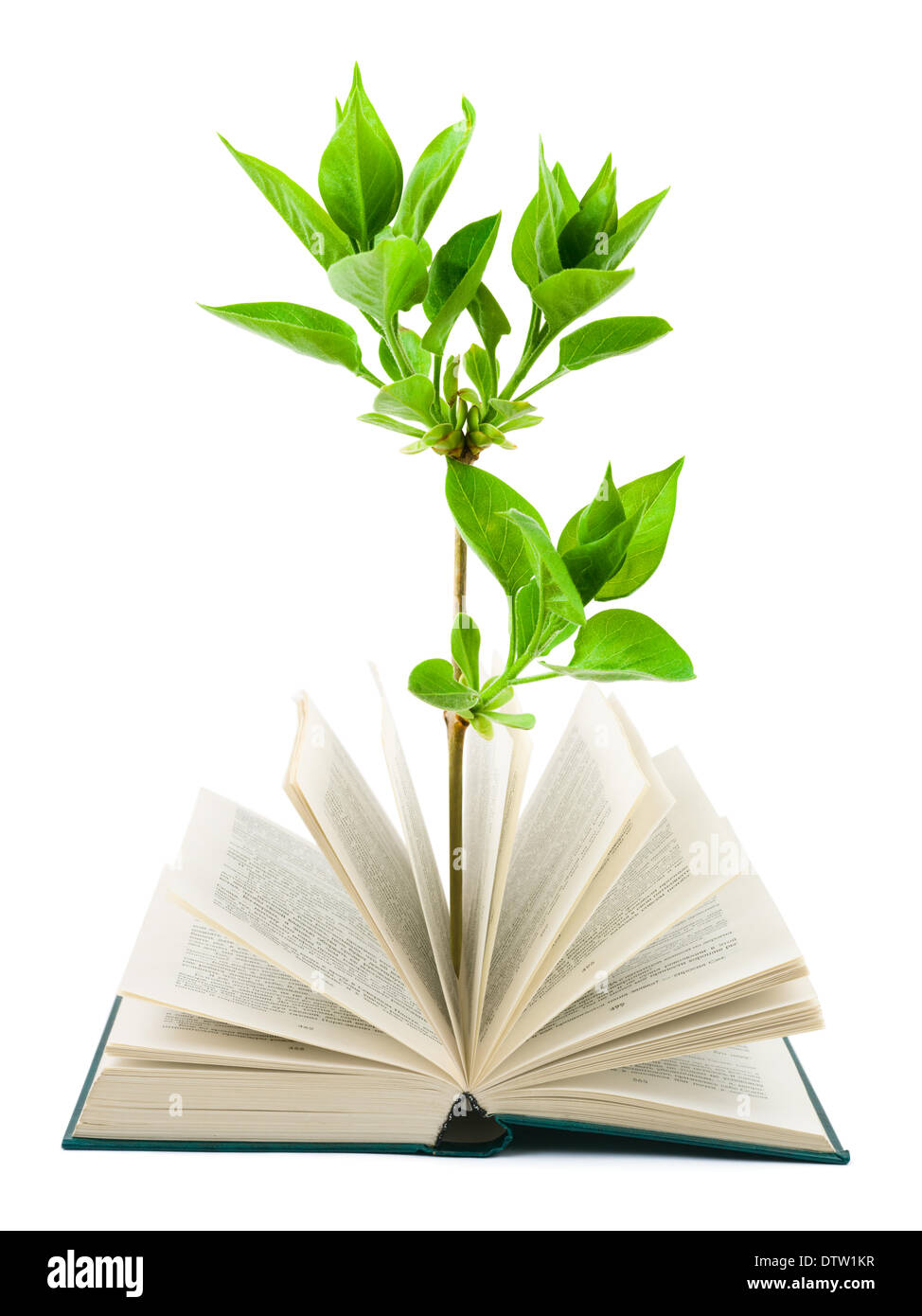 Book and plant Stock Photo - Alamy