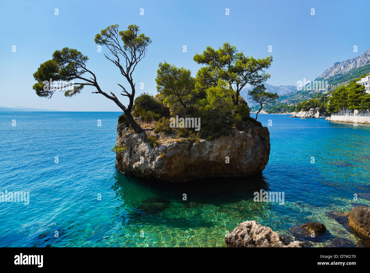 Island and trees Stock Photo - Alamy