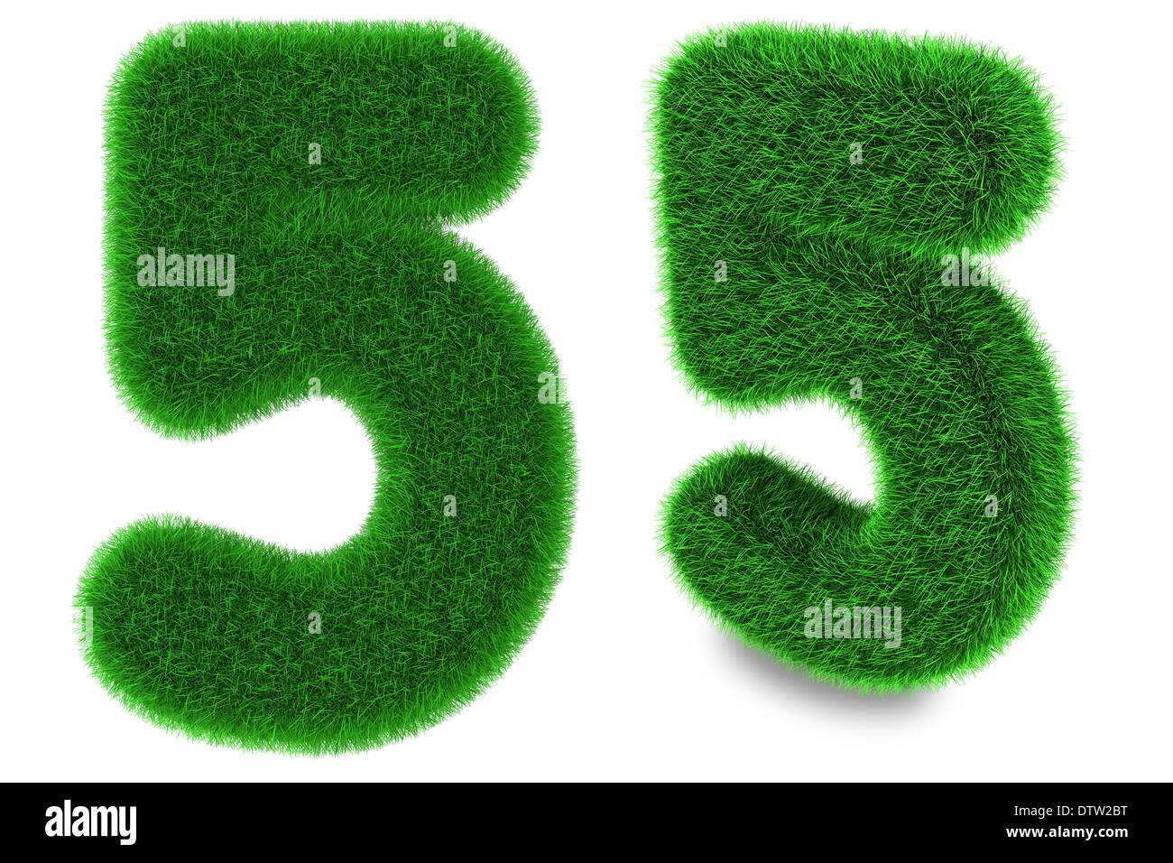 Five grass Cut Out Stock Images & Pictures - Alamy