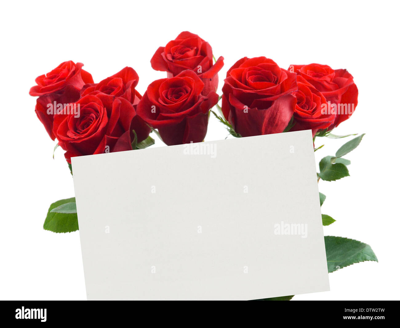 Card and roses Stock Photo - Alamy