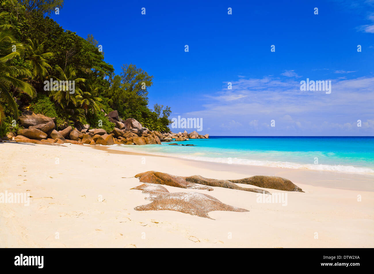 Tropical beach at island Praslin, Seychelles Stock Photo - Alamy