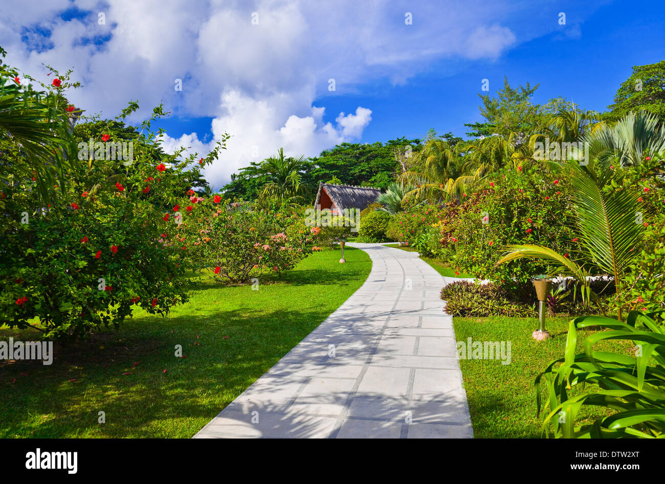 Pathway in the sand hi-res stock photography and images - Alamy