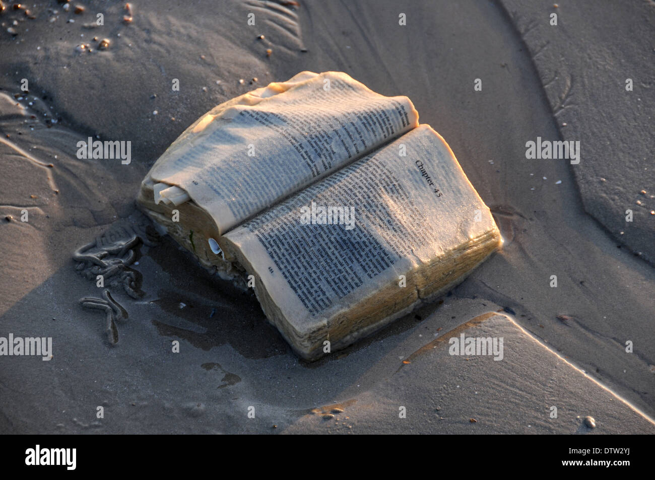 Book washed up on beach hi-res stock photography and images - Alamy