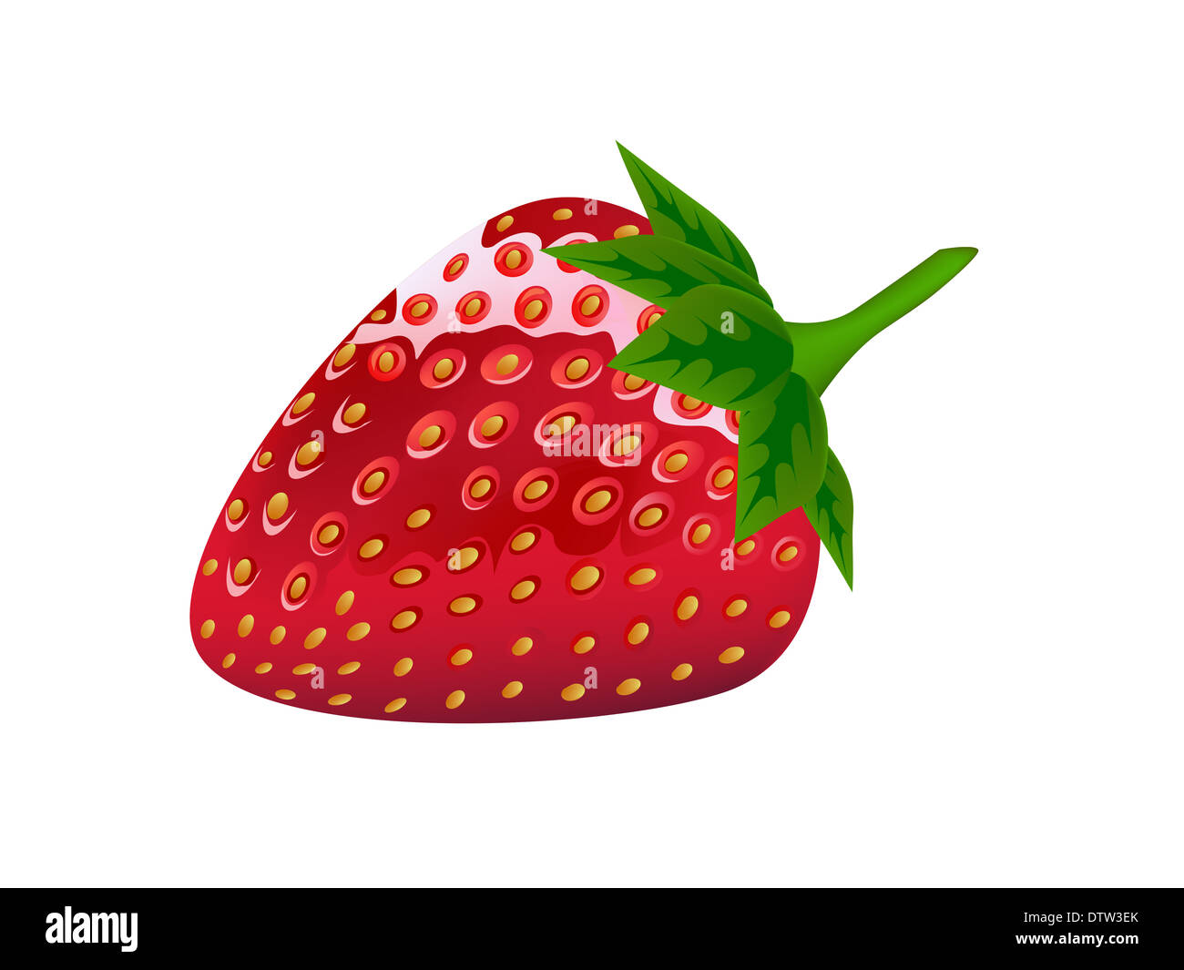 beautiful strawberries. vector illustration of a realistic Stock Photo ...