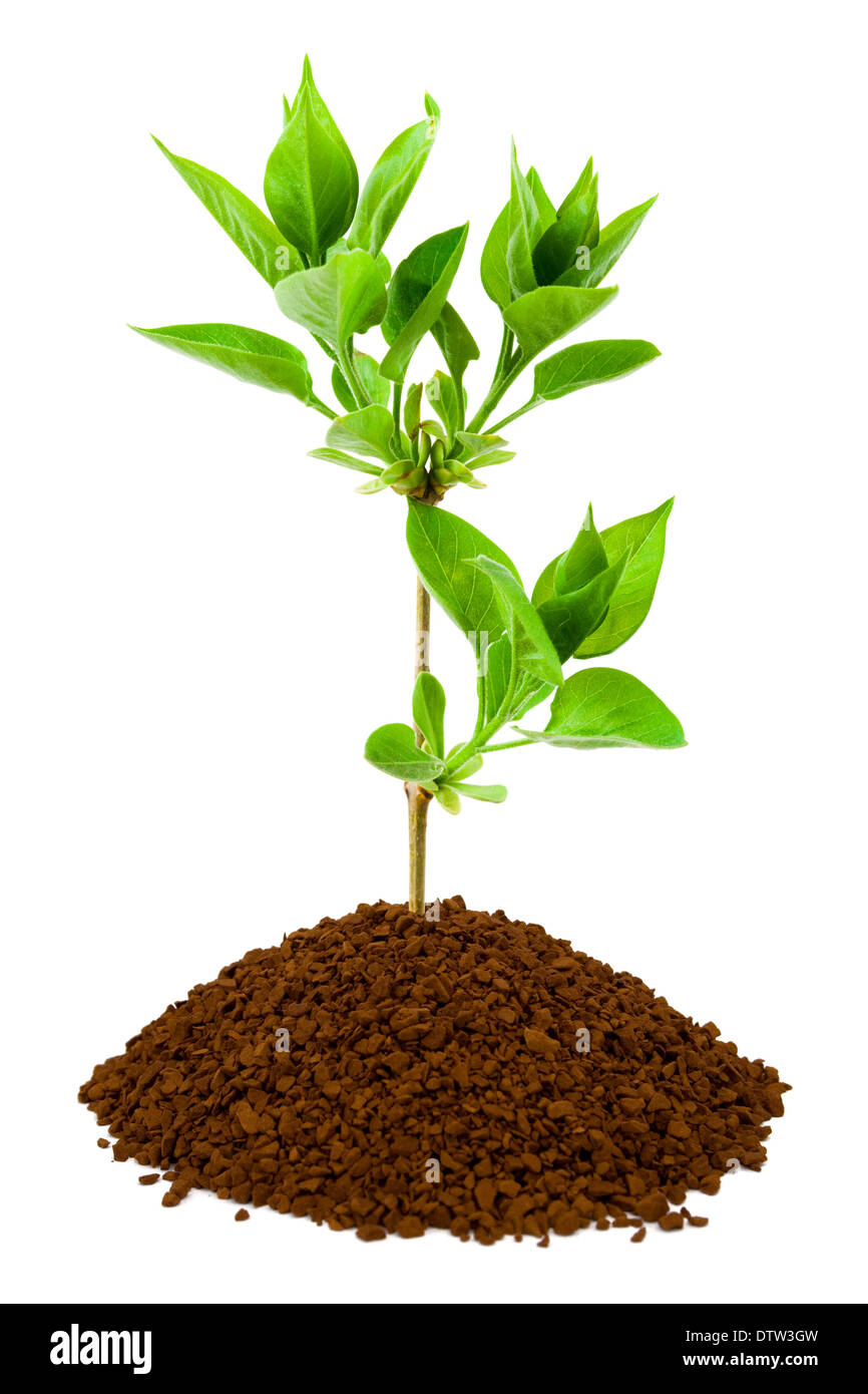 Cultivated land Cut Out Stock Images & Pictures - Alamy