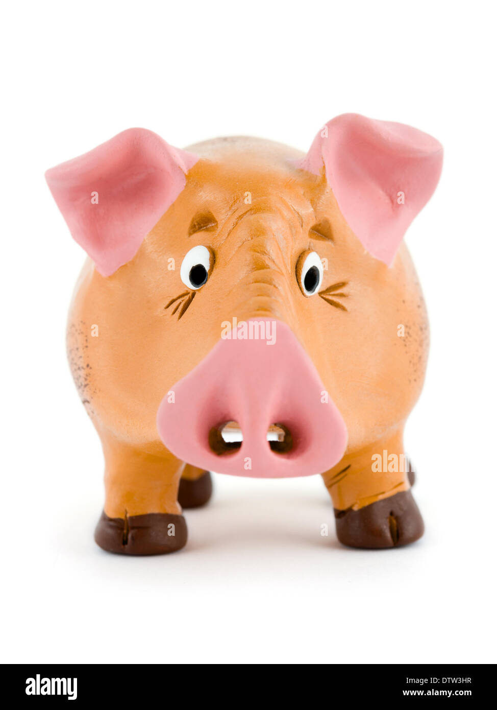 Close up shot pig Cut Out Stock Images & Pictures - Alamy
