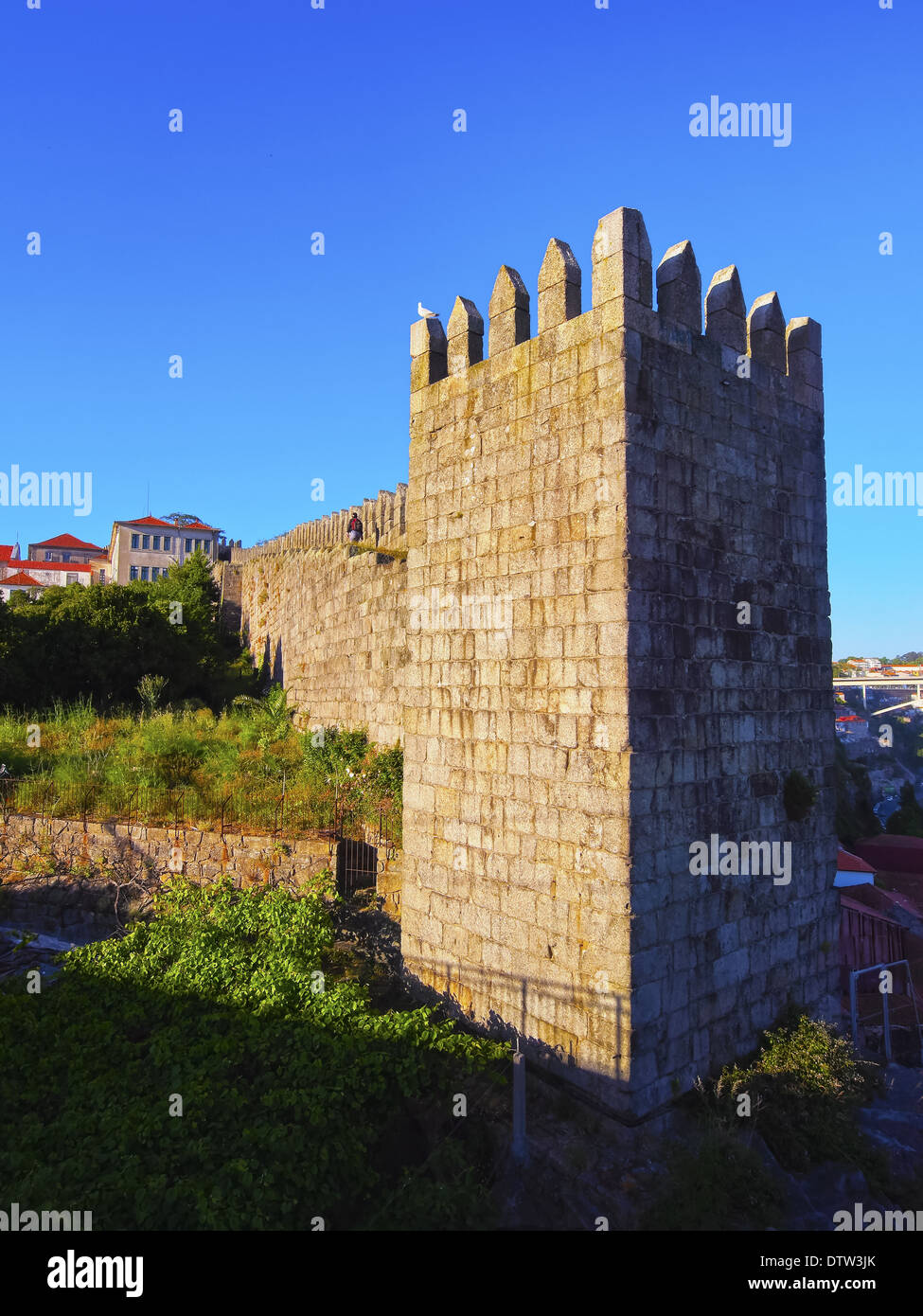 Fernandina wall hi-res stock photography and images - Alamy