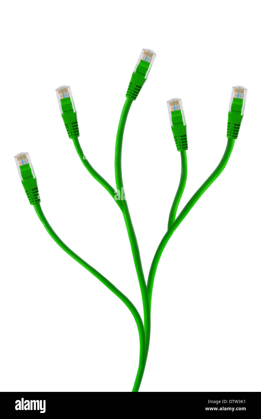 Plant made of computer cable Stock Photo - Alamy