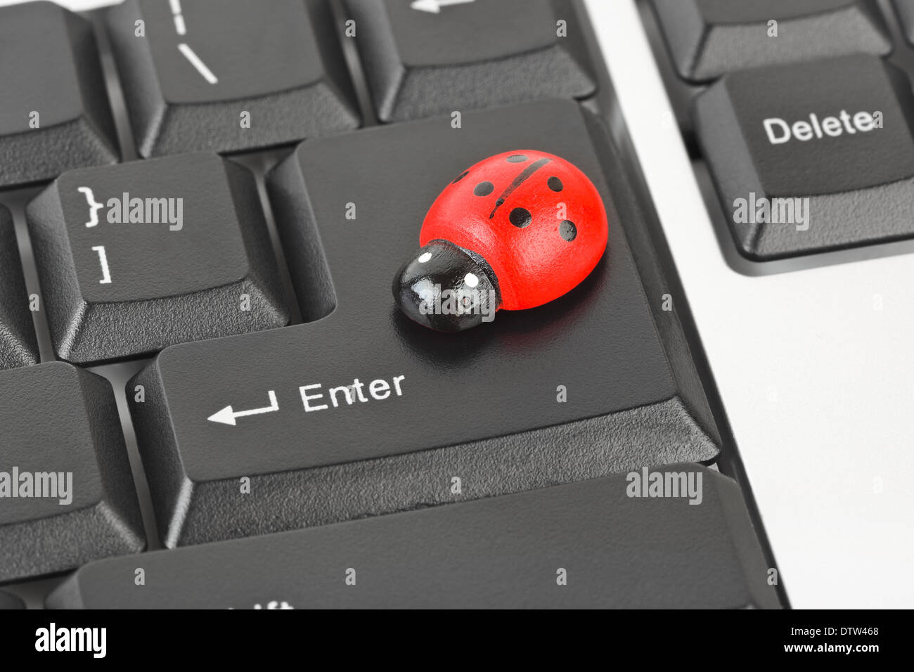 Toy ladybird on computer keyboard Stock Photo - Alamy