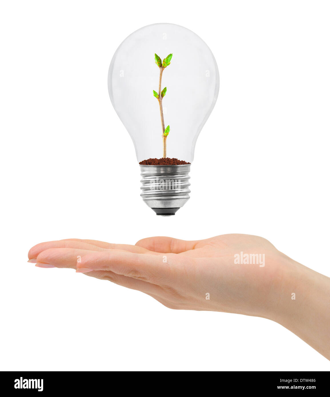 Holding power plant Cut Out Stock Images & Pictures - Alamy