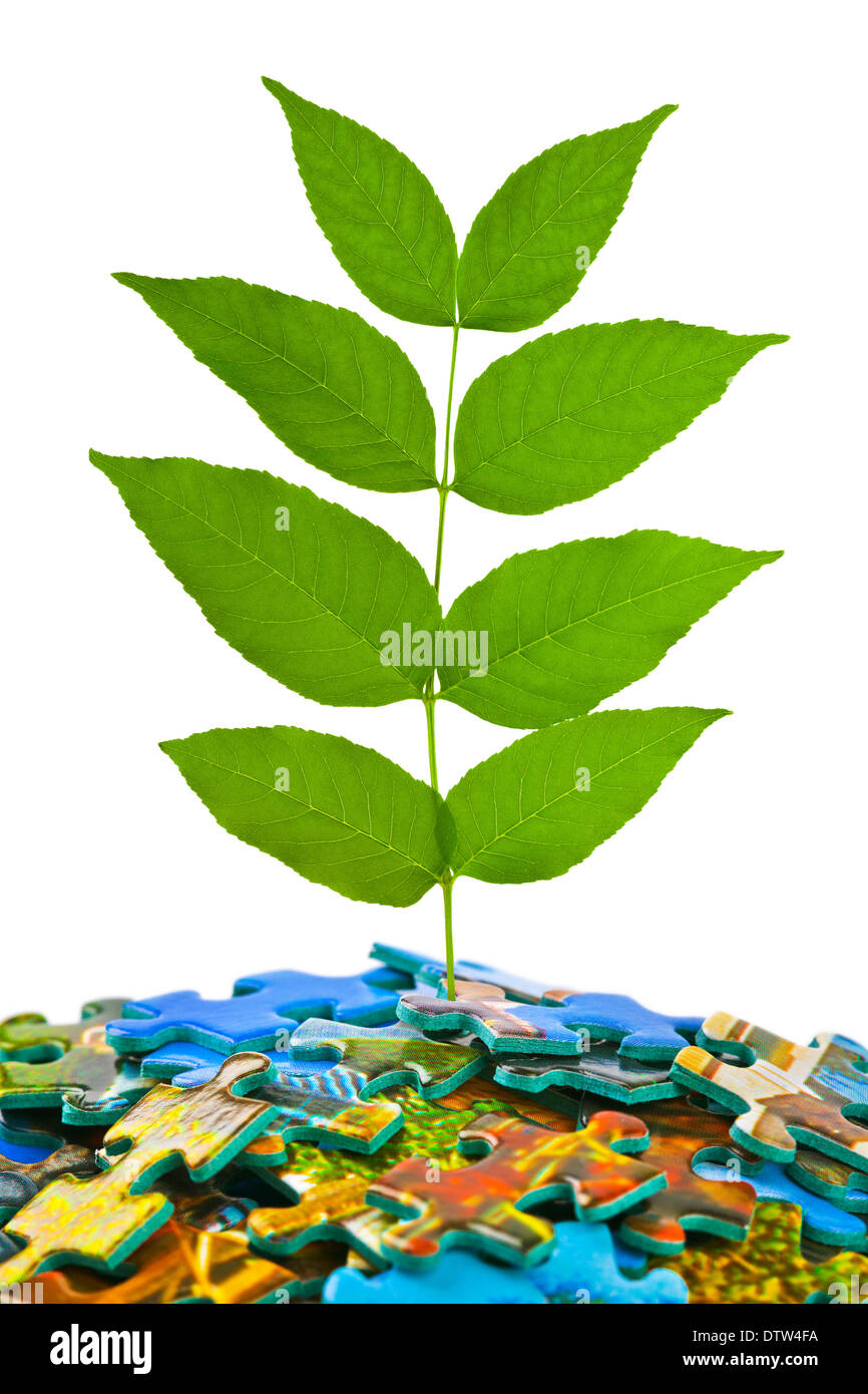 Puzzle and plant Stock Photo - Alamy