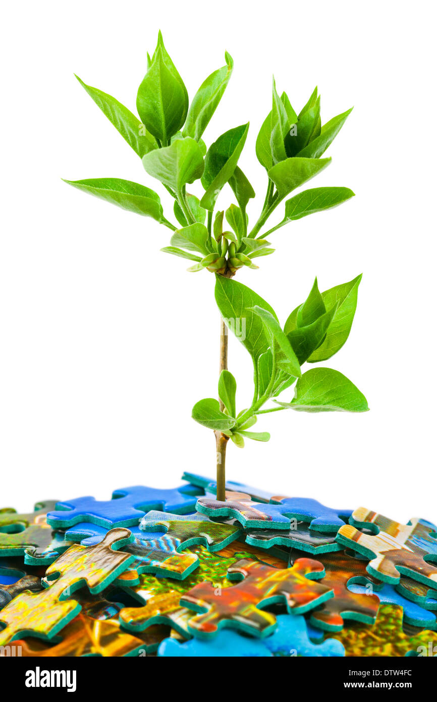 Puzzle and plant Stock Photo - Alamy