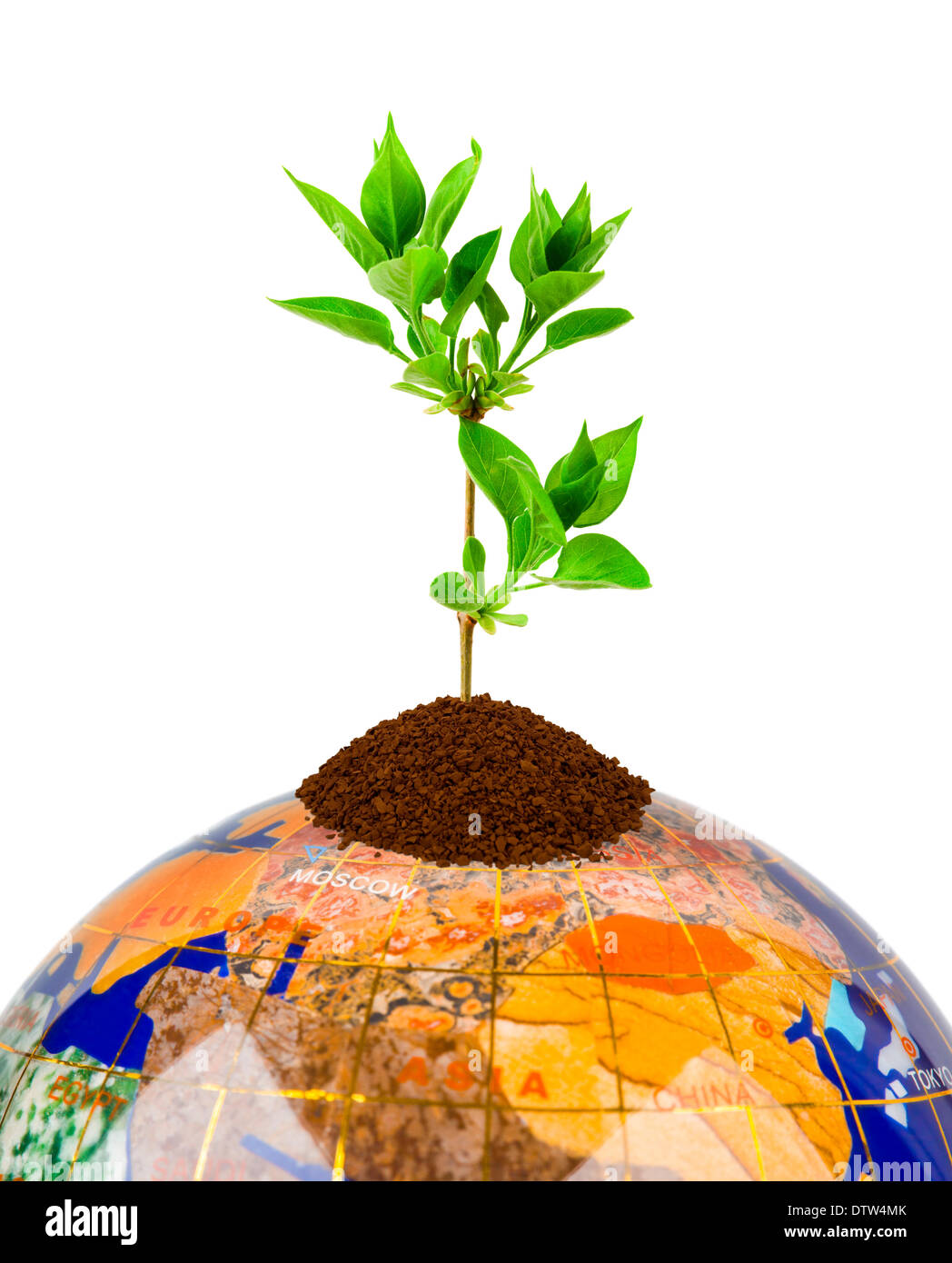 Globe and plant Stock Photo - Alamy