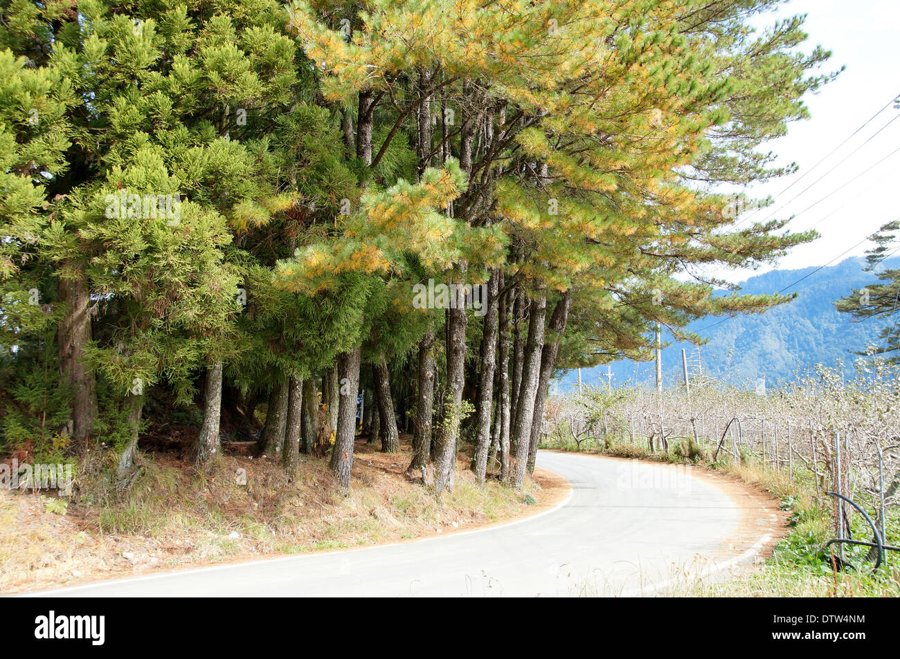 The beautiful countryside road in high mountain Stock Photo - Alamy