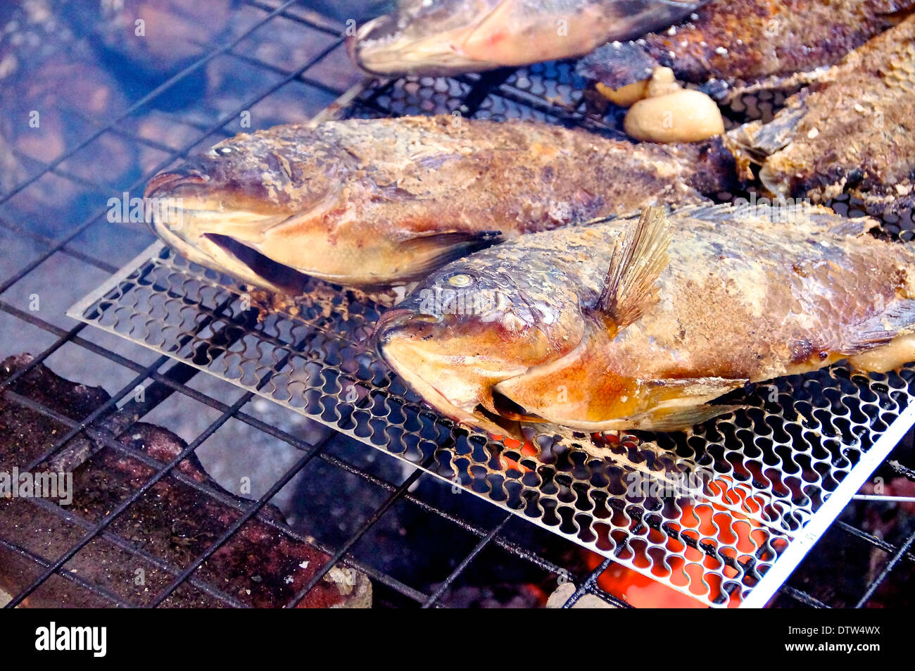 Holding raw fish hi-res stock photography and images - Alamy