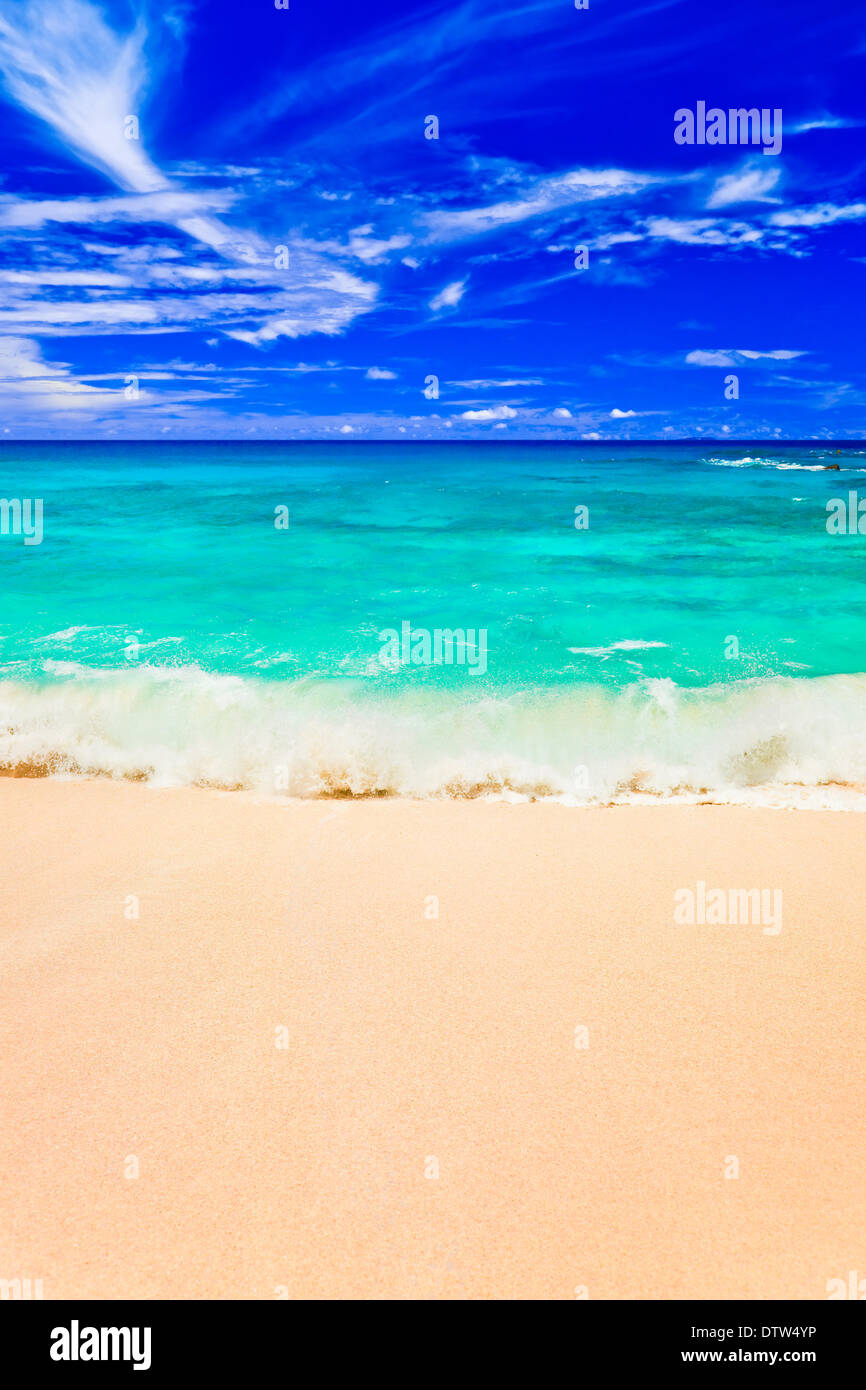 Tropical waves hi-res stock photography and images - Alamy