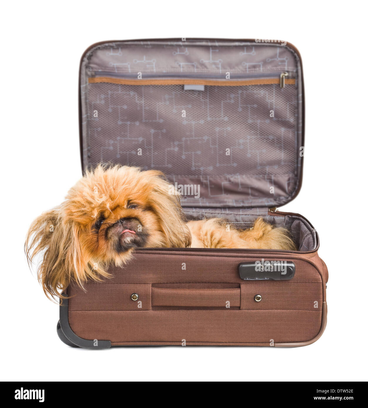 Humor in travel Cut Out Stock Images & Pictures - Alamy