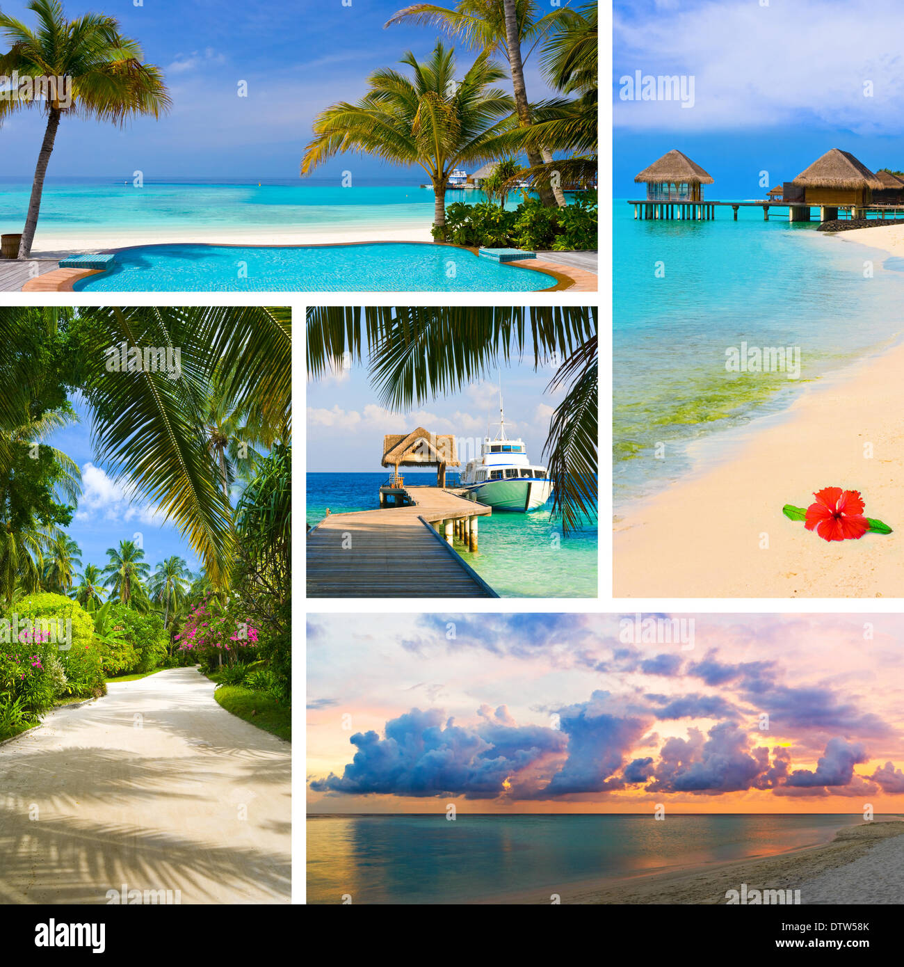 Photo collage tropical beach palm hi-res stock photography and images ...