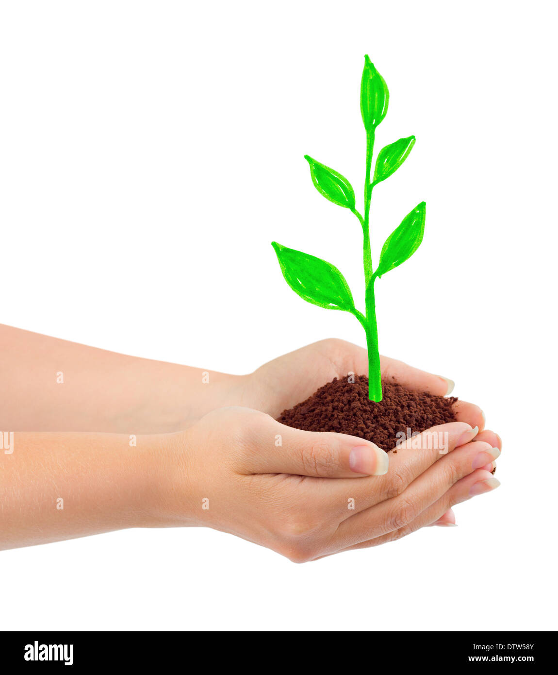 Hand and drawing plant Stock Photo - Alamy