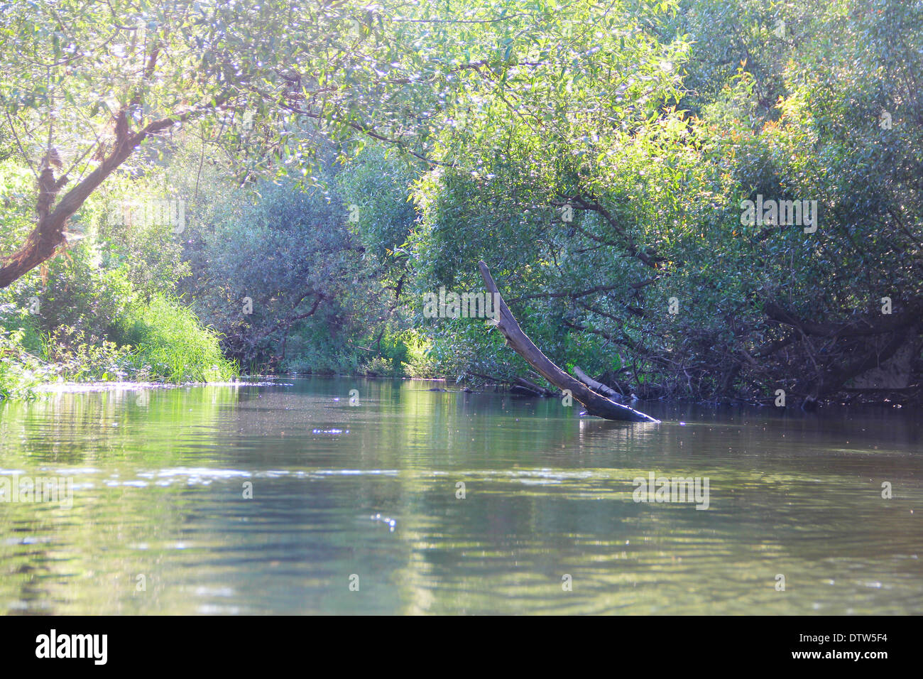 River scene with trees hi-res stock photography and images - Alamy