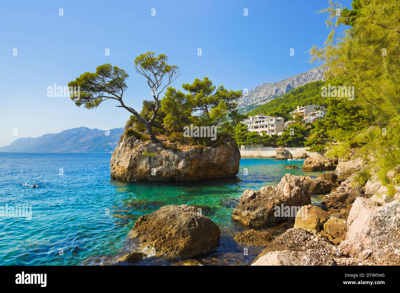 Island and trees in Brela, Croatia Stock Photo - Alamy