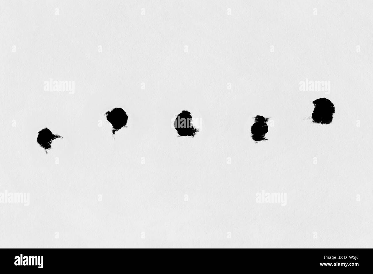 Bullet Holes In Black Paper