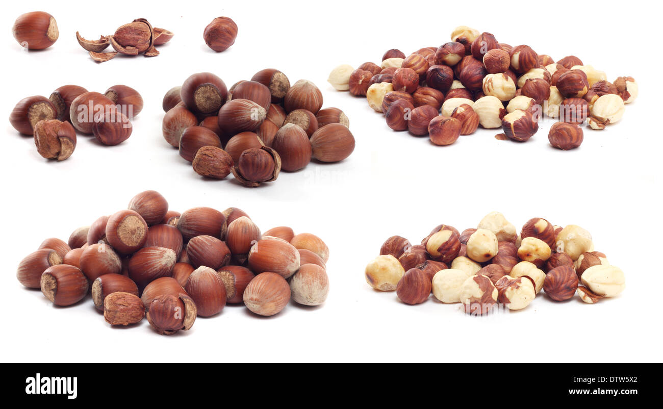 Forest hazelnuts isolated on white background Stock Photo - Alamy