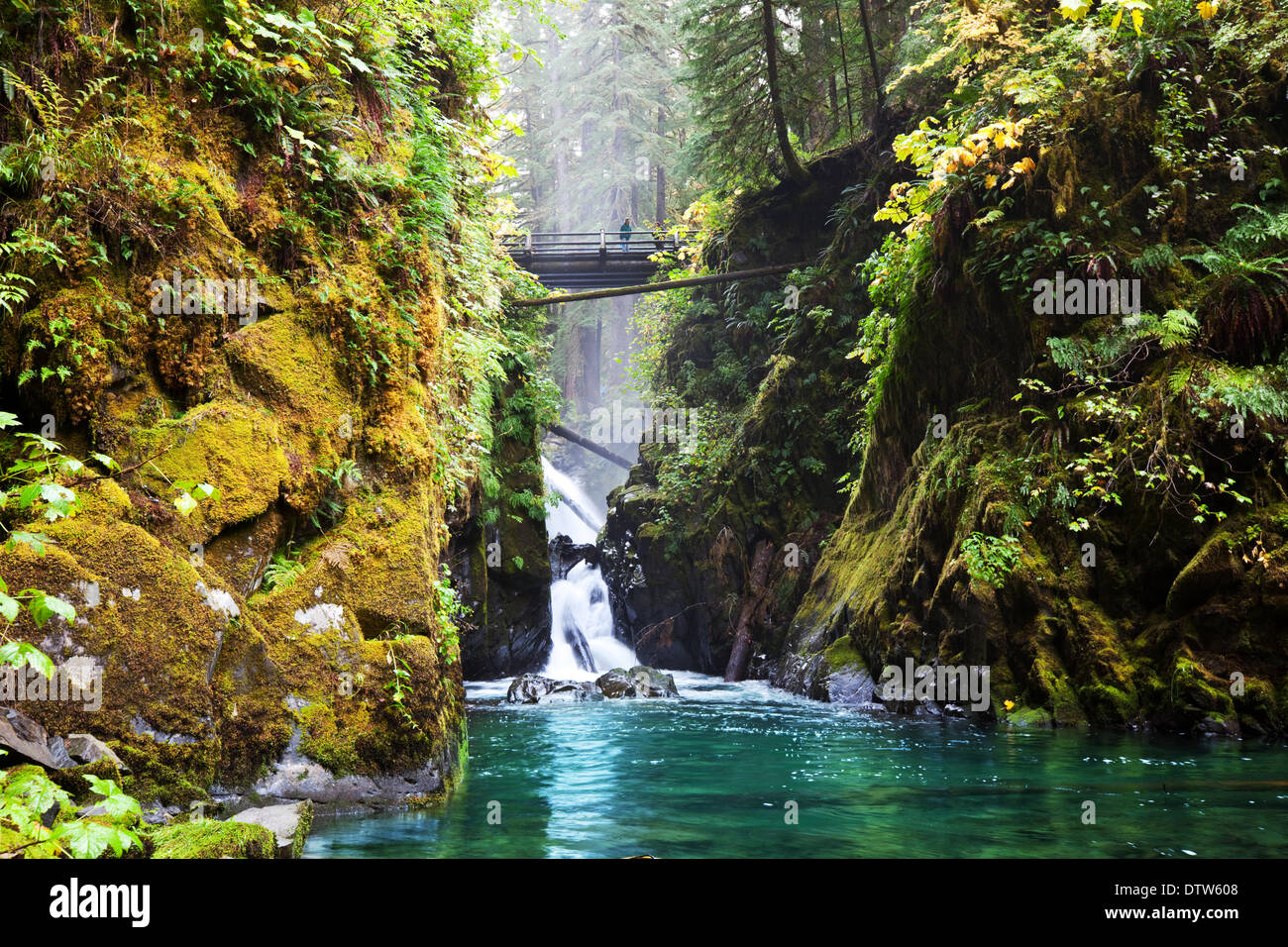 Sol duc wilderness hi-res stock photography and images - Alamy