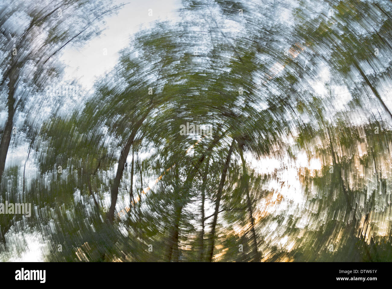 Chaos in nature hi-res stock photography and images - Alamy