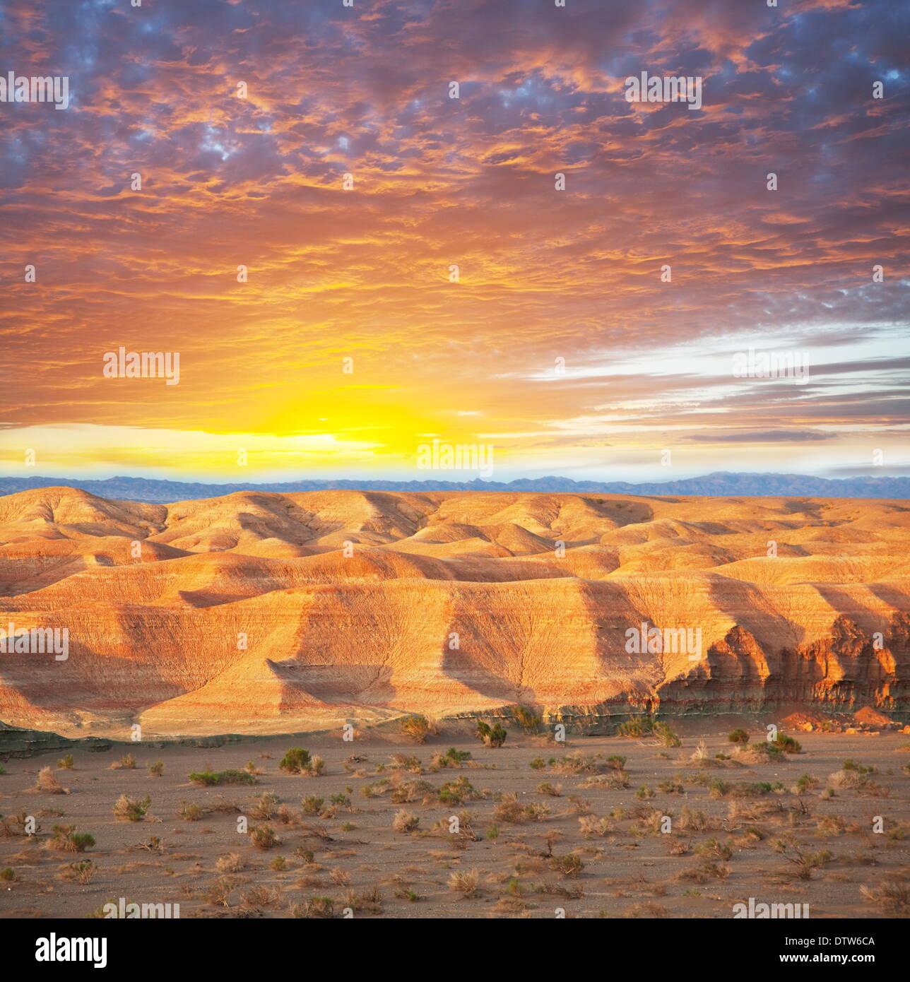 The gobi desert hi-res stock photography and images - Alamy
