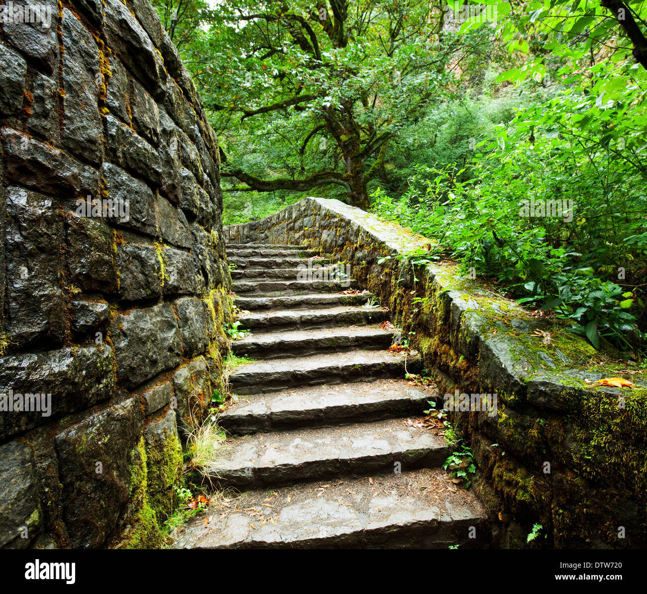 Path of stones hi-res stock photography and images - Alamy