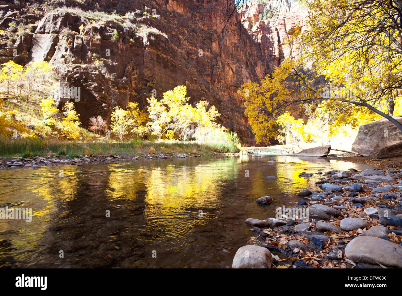 Autumn in Zion Stock Photo - Alamy
