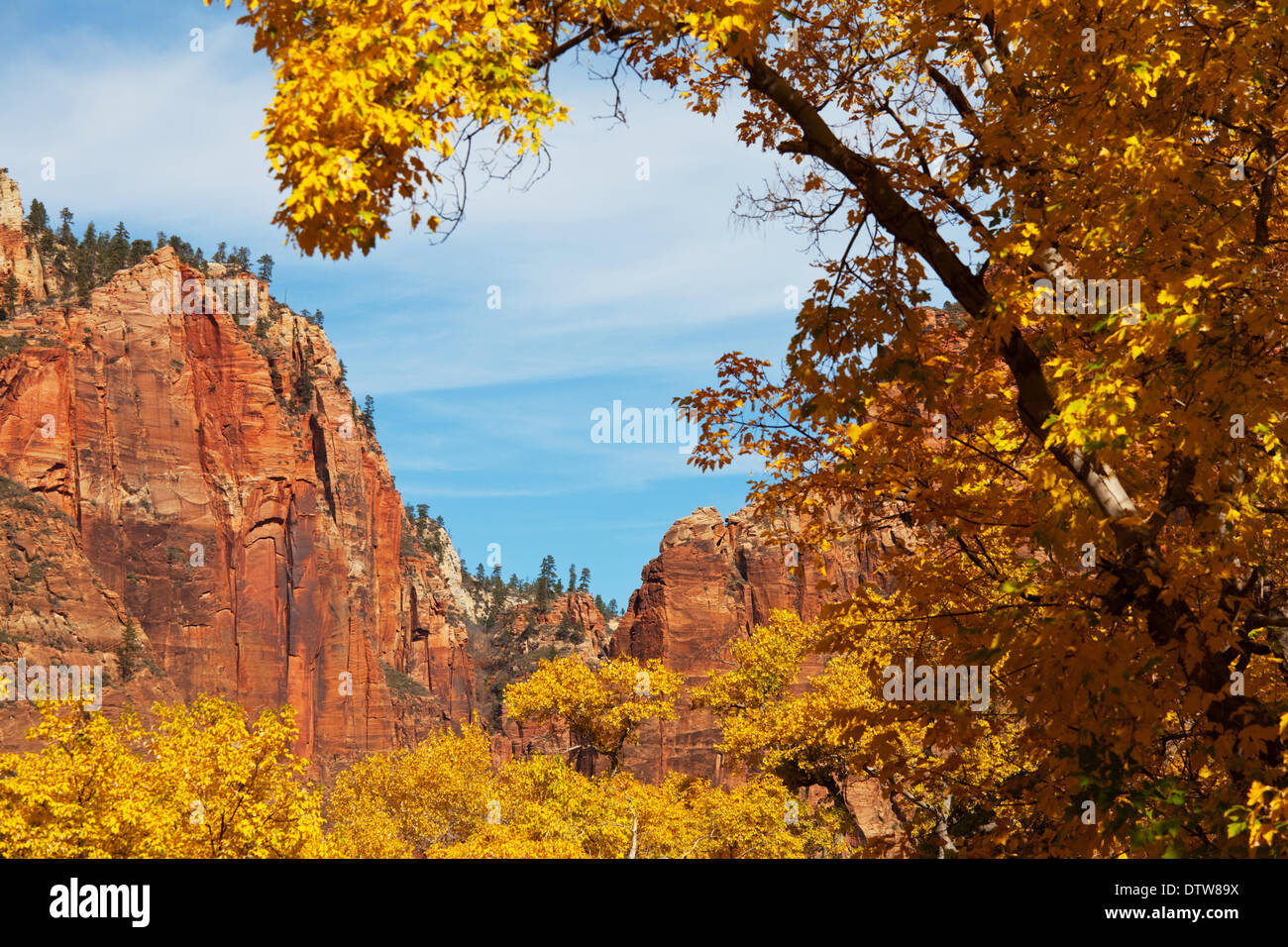 October in zion hi-res stock photography and images - Alamy