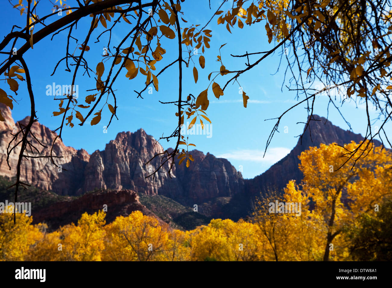October in zion hi-res stock photography and images - Alamy