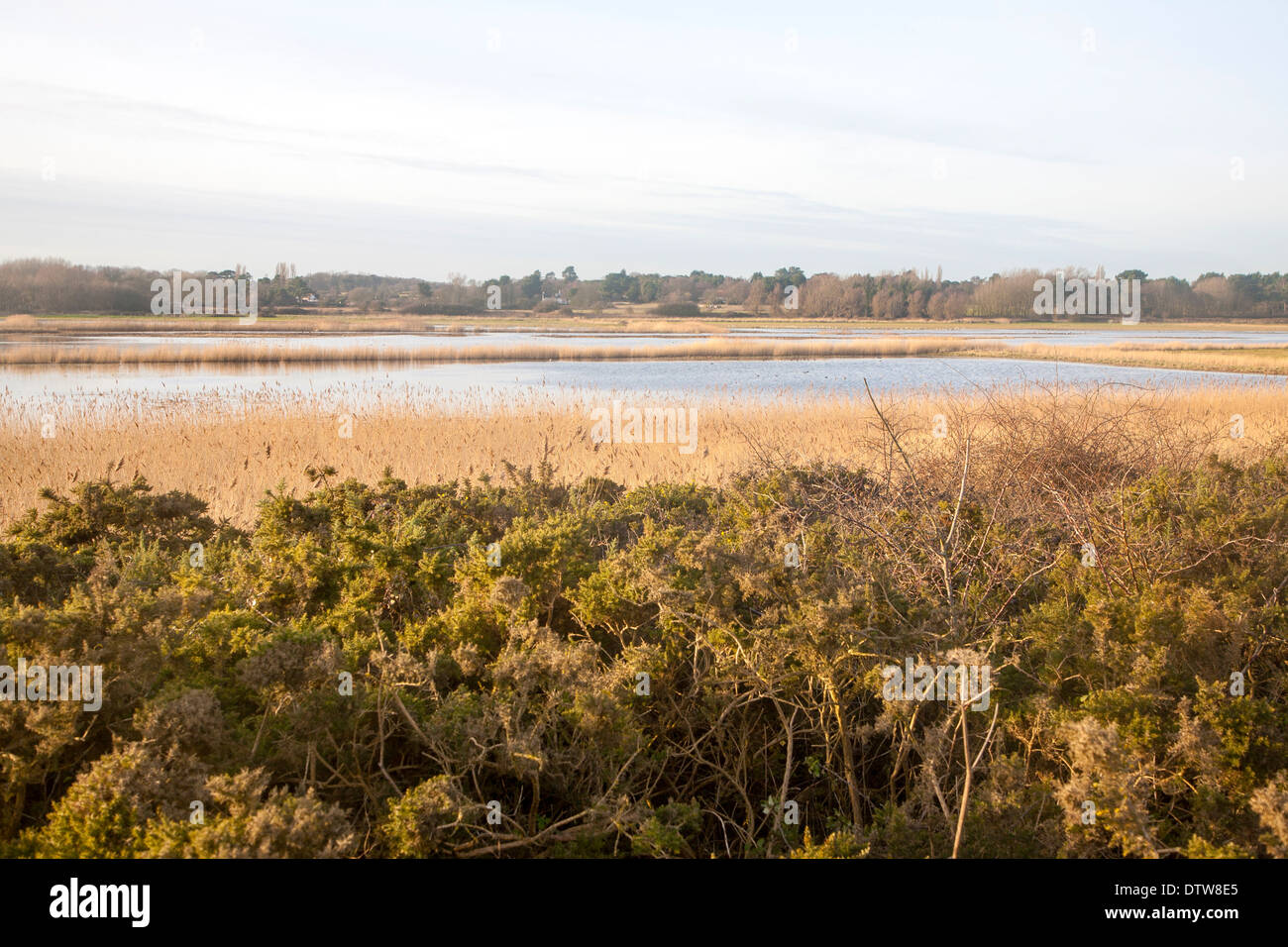 Tidal inundation hi-res stock photography and images - Alamy