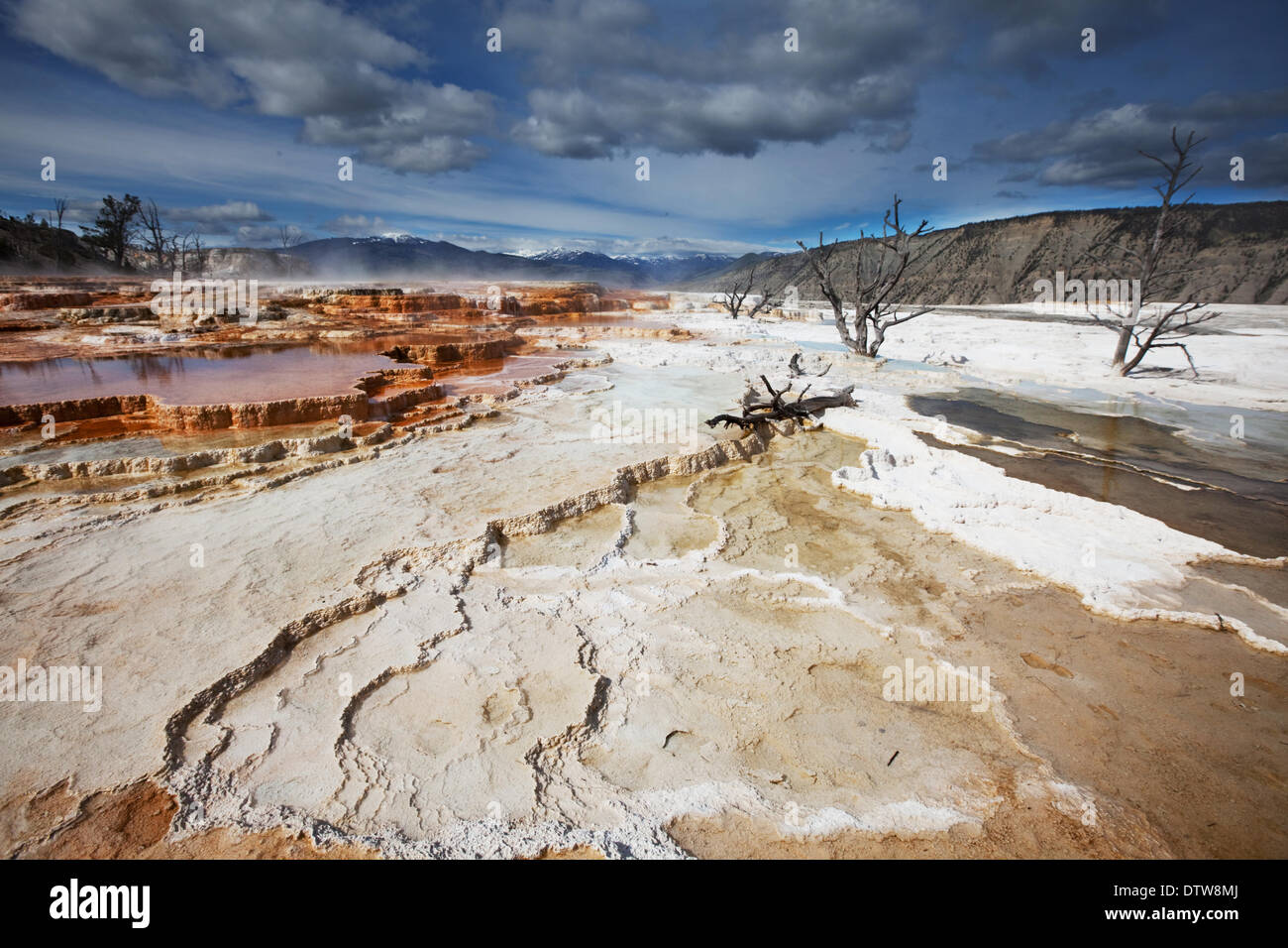Mammoth hot spring Stock Photo - Alamy