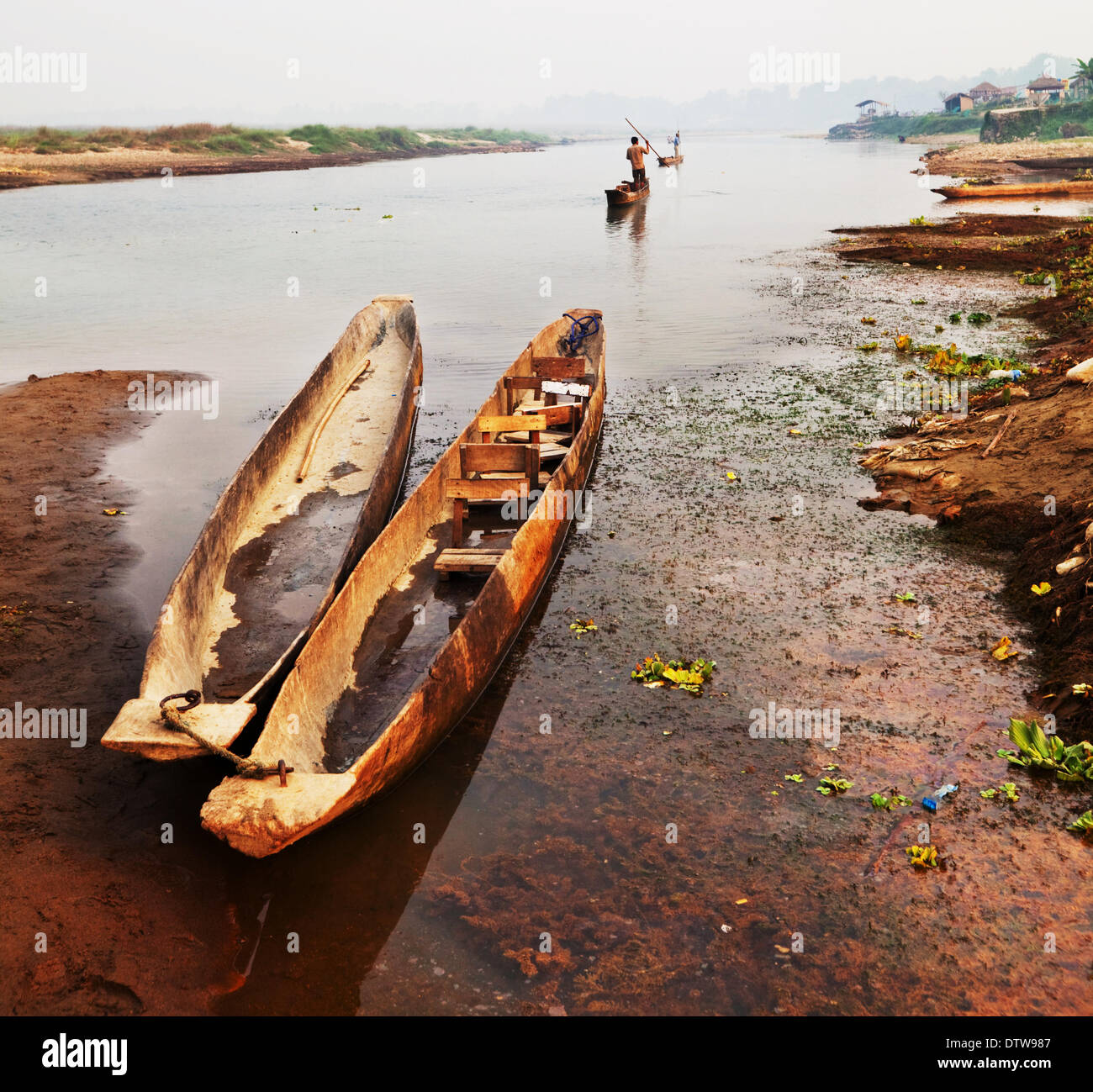 Sunrise chitwan park nepal hi-res stock photography and images - Alamy