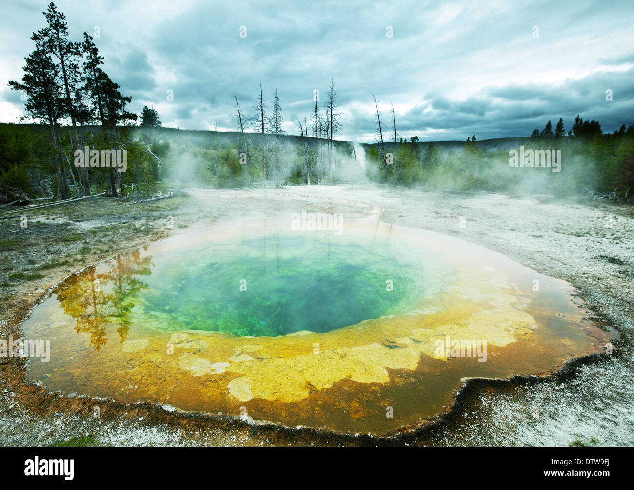 Spring time glory hi-res stock photography and images - Alamy